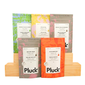 Canada's Pluck Tea – Buy Canadian Group Inc.